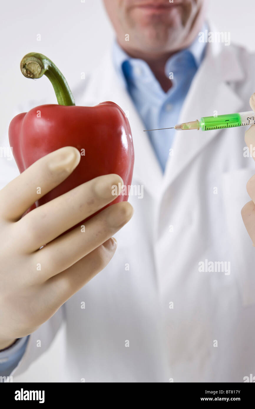 Man in a laboratory injecting liquid into a red pepper Stock Photo - Alamy