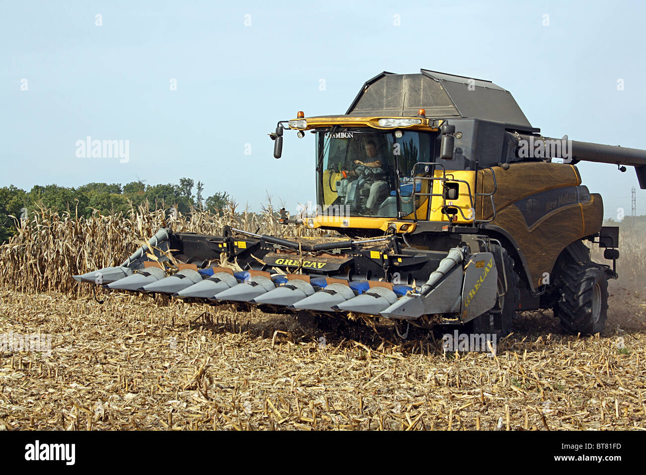 New Holland CR9070 Combine harvester cutting maize Stock Photo - Alamy
