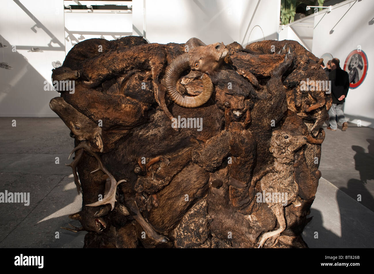 Dead animals hi-res stock photography and images - Alamy