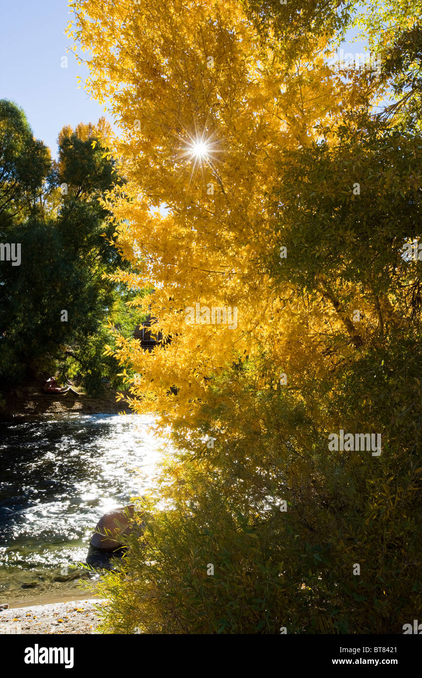 Mountain river scenic in fall hi-res stock photography and images - Alamy