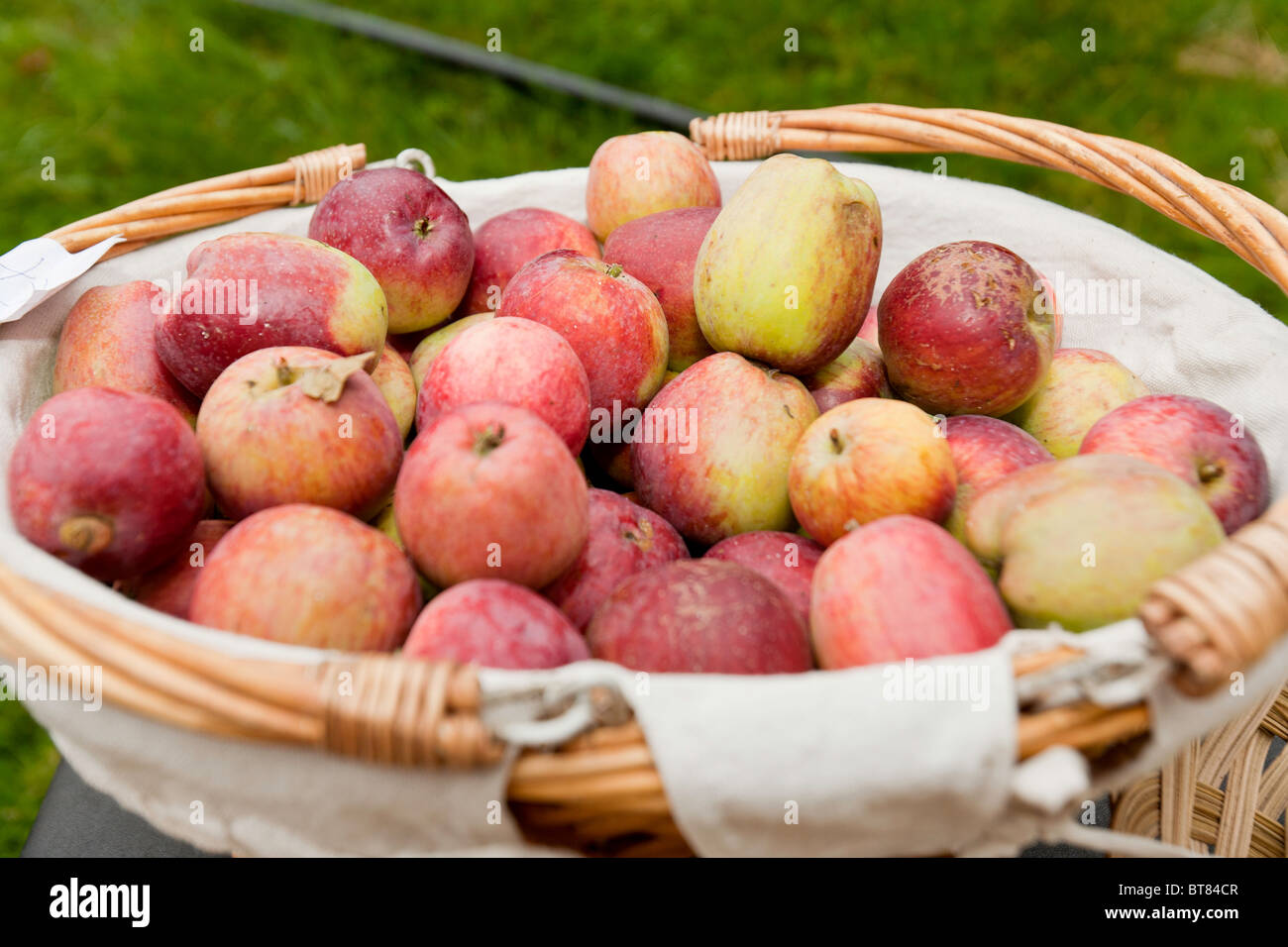 Apples in a basket Stock Photo - Alamy