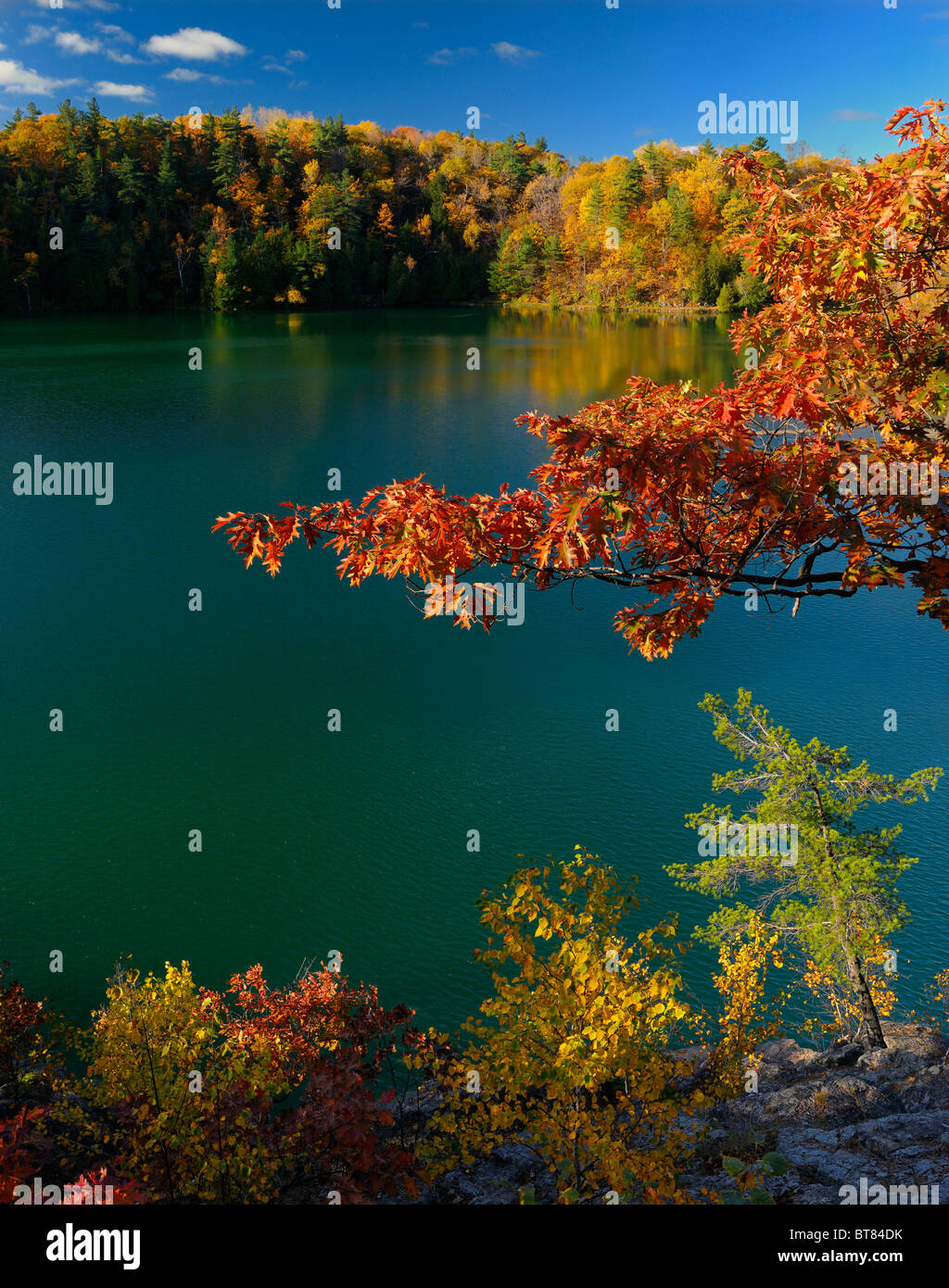 Red and yellow Fall leaves against the aqua blue water of Pink Lake ...