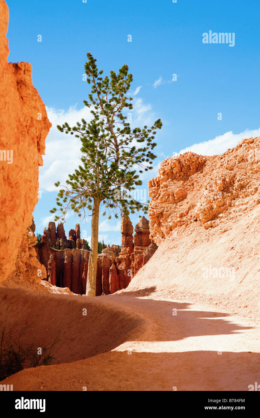 Hiking path rock formations hi-res stock photography and images - Alamy