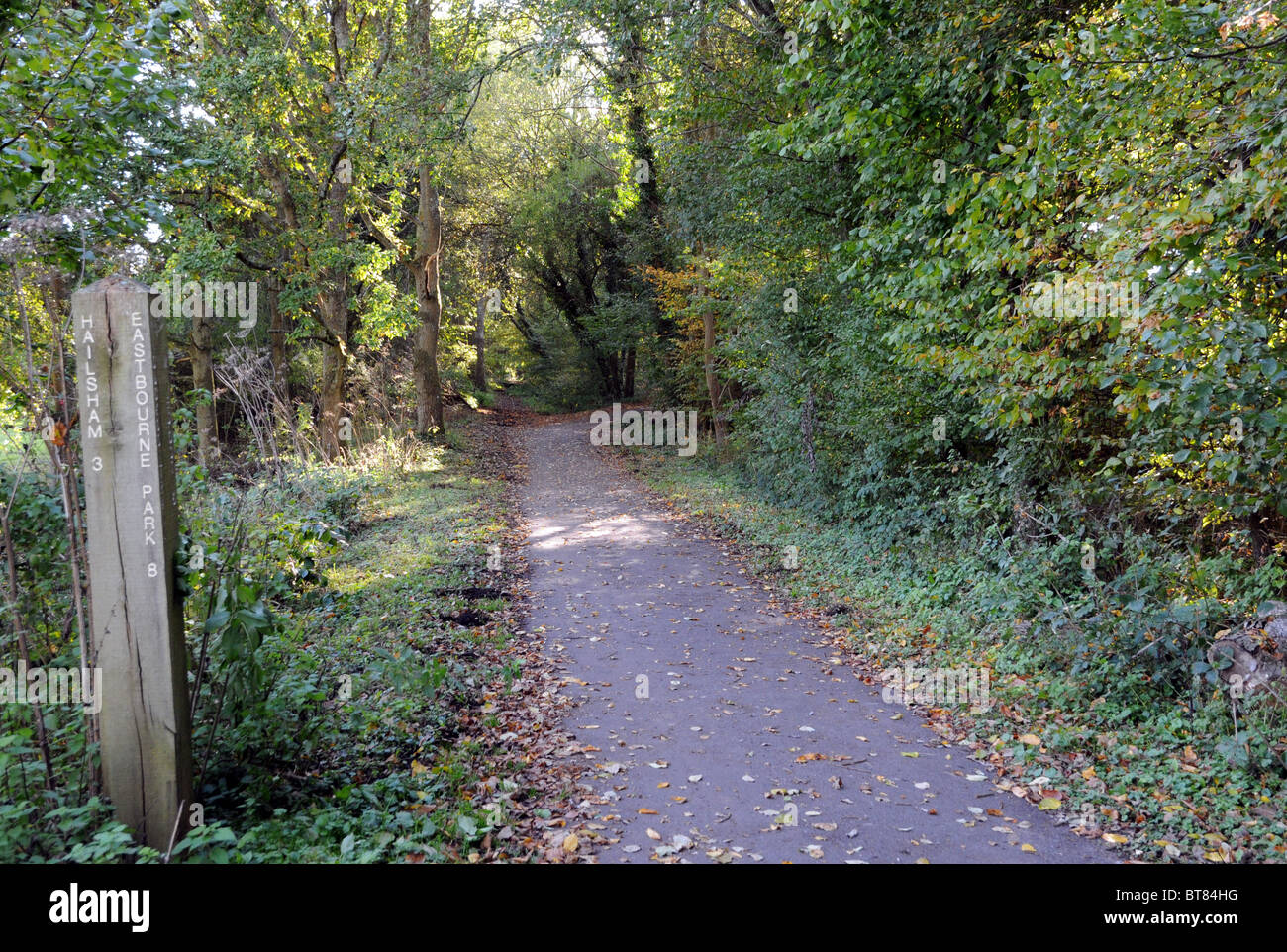 Early autumn colours on the Cuckoo Trail. Here it follows an old ...