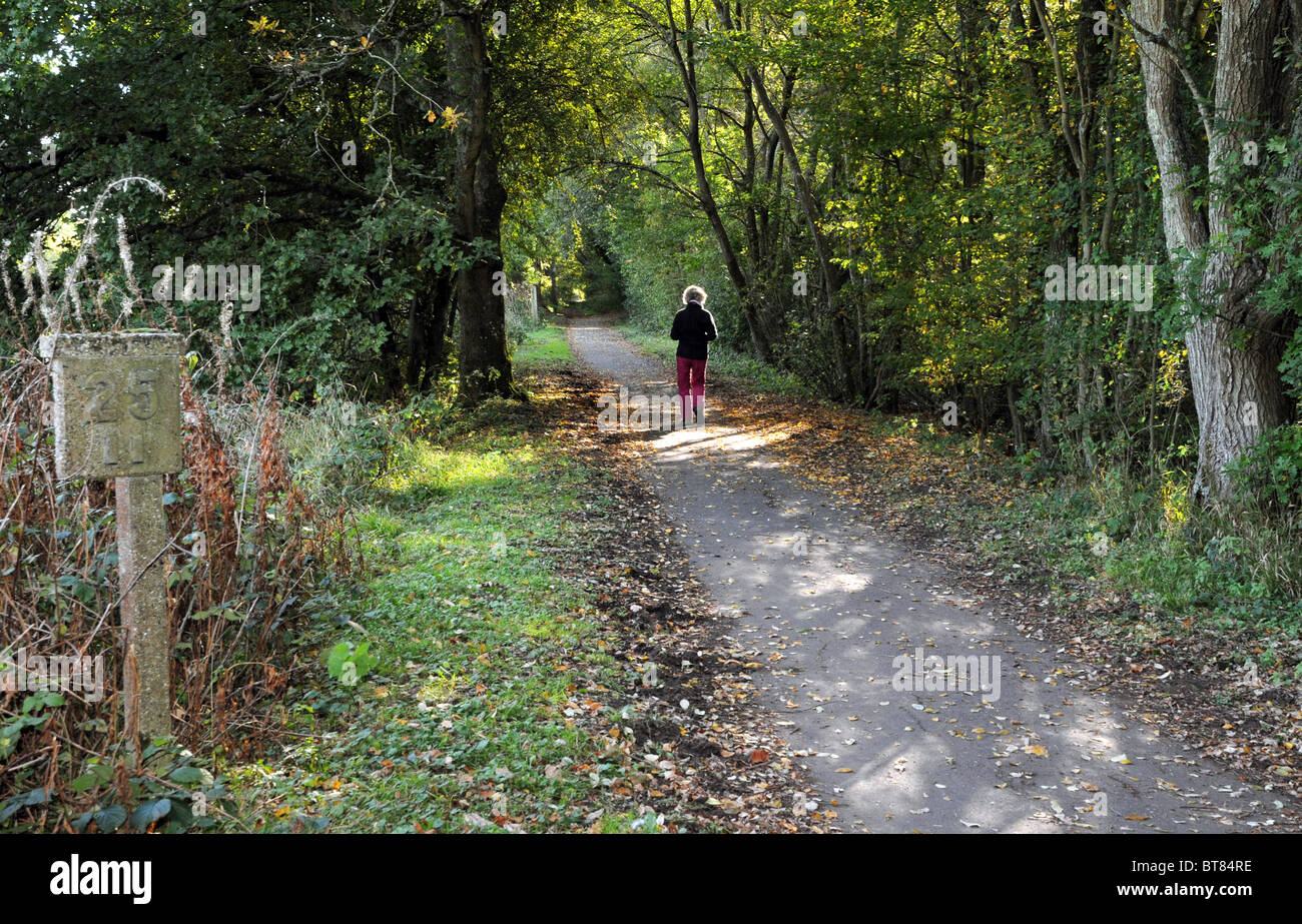 Early autumn colours on the Cuckoo Trail. Here it follows an old ...