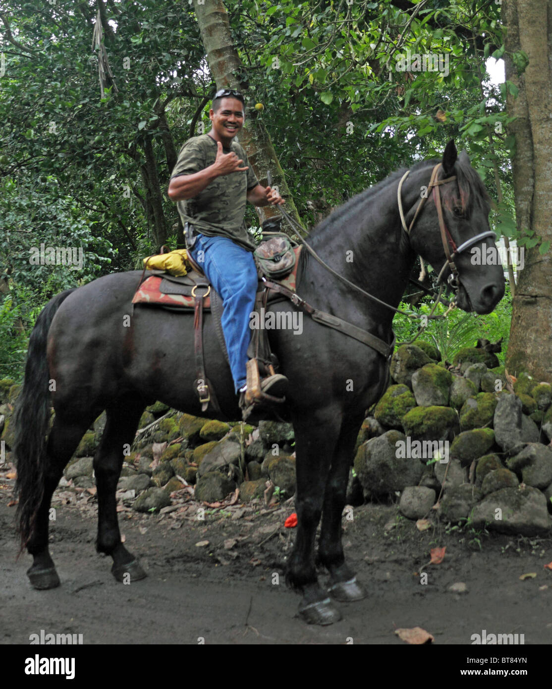 Horseback riding guide with Naalapa Stables in Waipio Valley on the Big ...