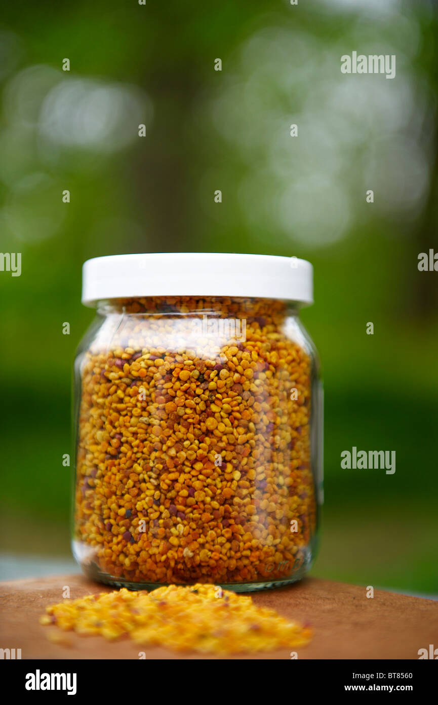 Glass jar full of bee pollen against nature background Stock Photo - Alamy