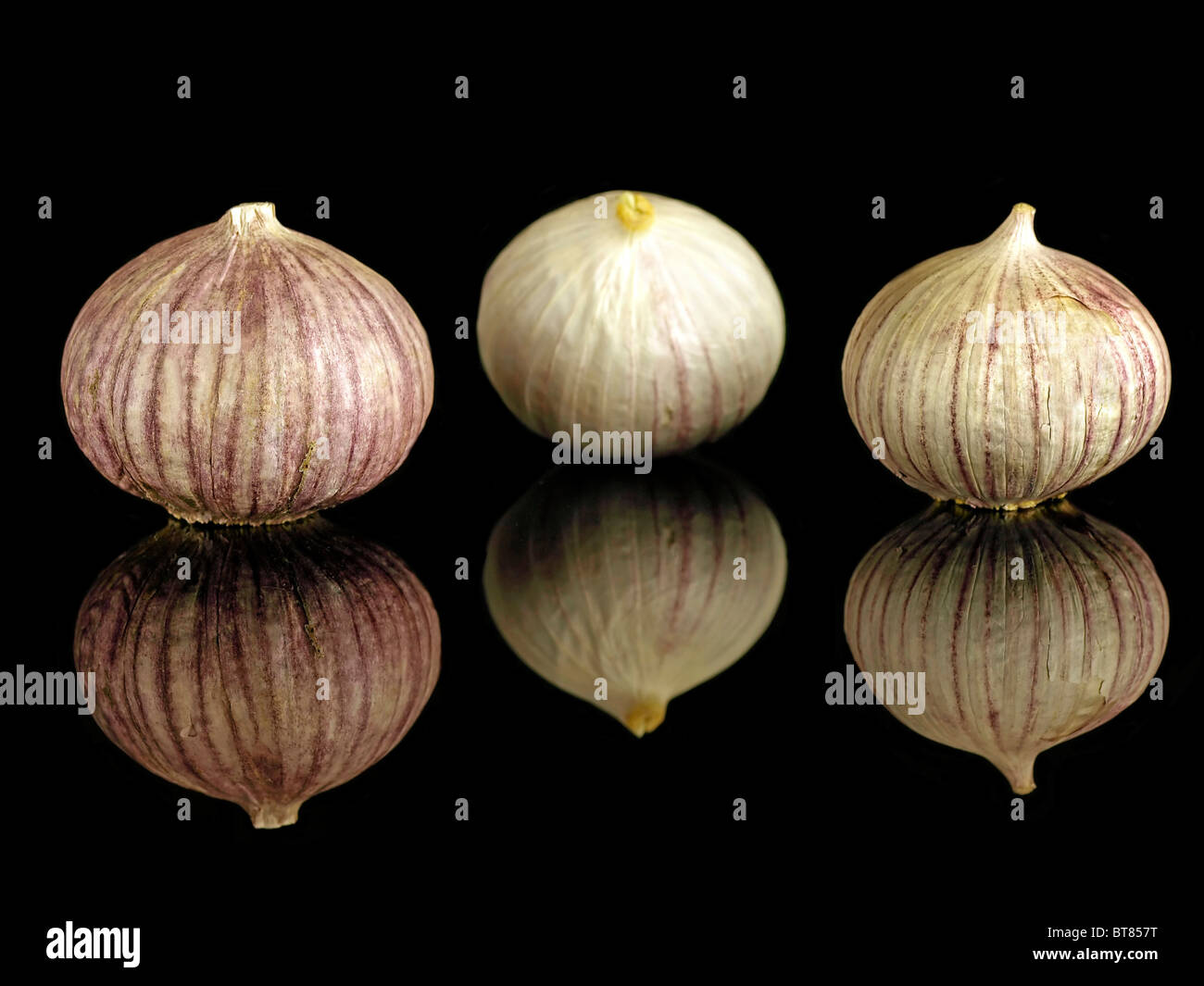 Agriculture garlic Cut Out Stock Images & Pictures - Alamy