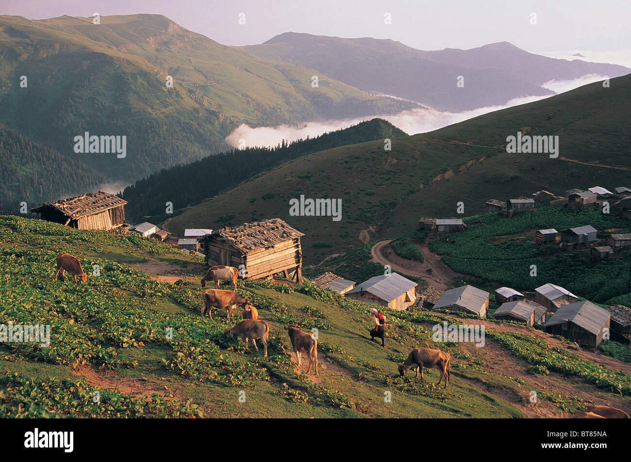 Highland geography hi-res stock photography and images - Alamy