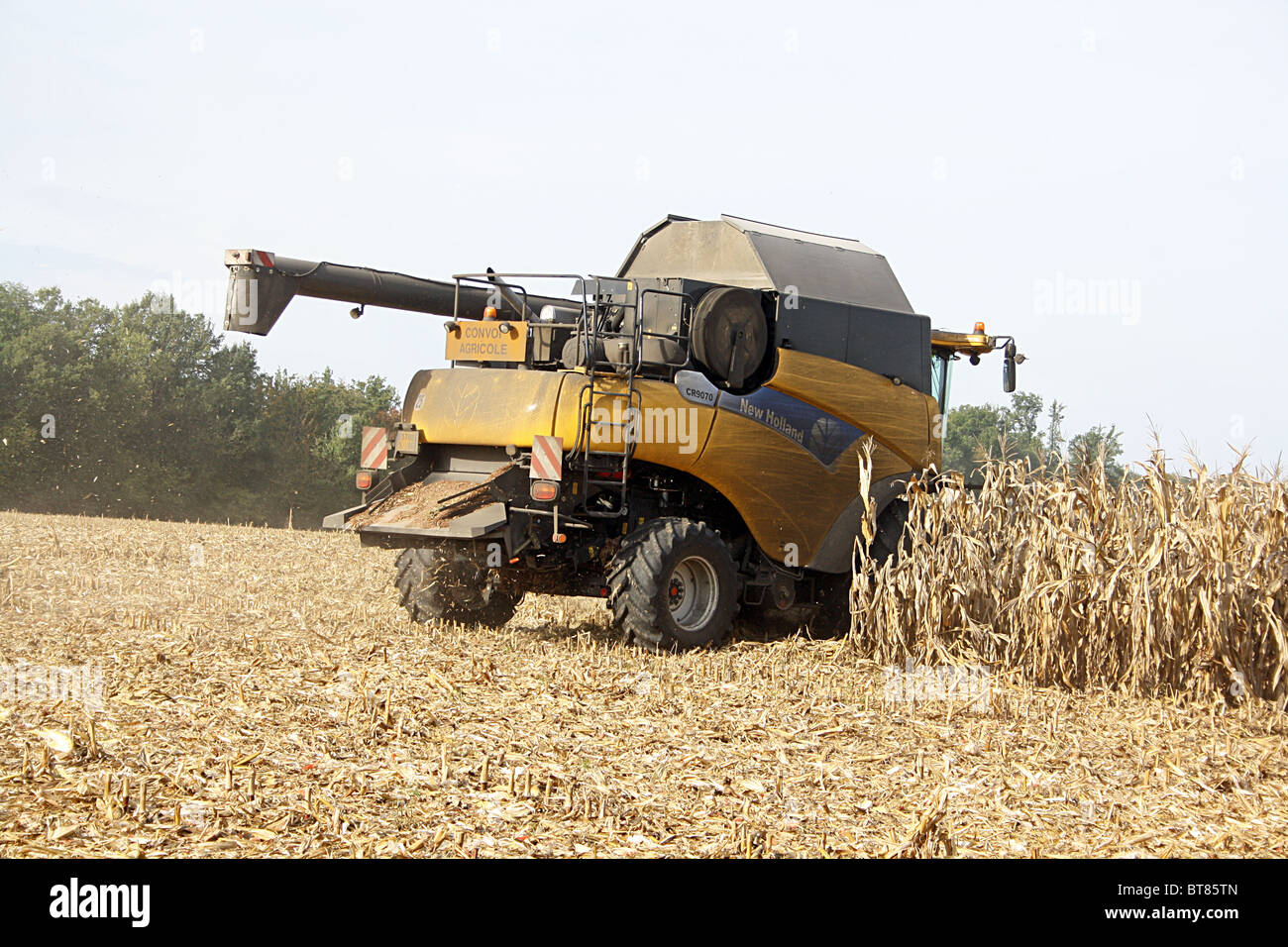 New Holland CR9070 Combine harvester cutting maize Stock Photo - Alamy