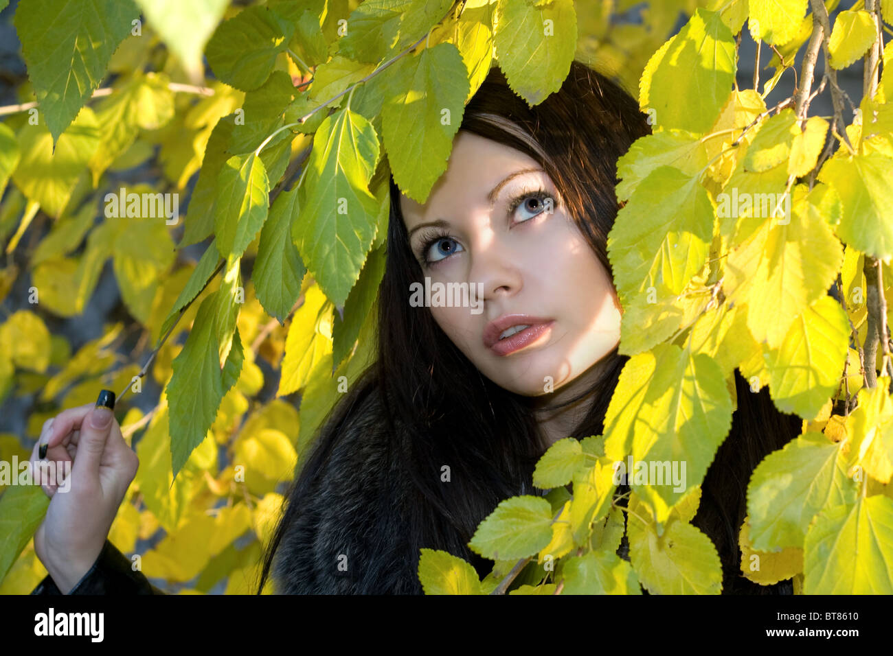 Portrait of the young woman in foliage Stock Photo - Alamy