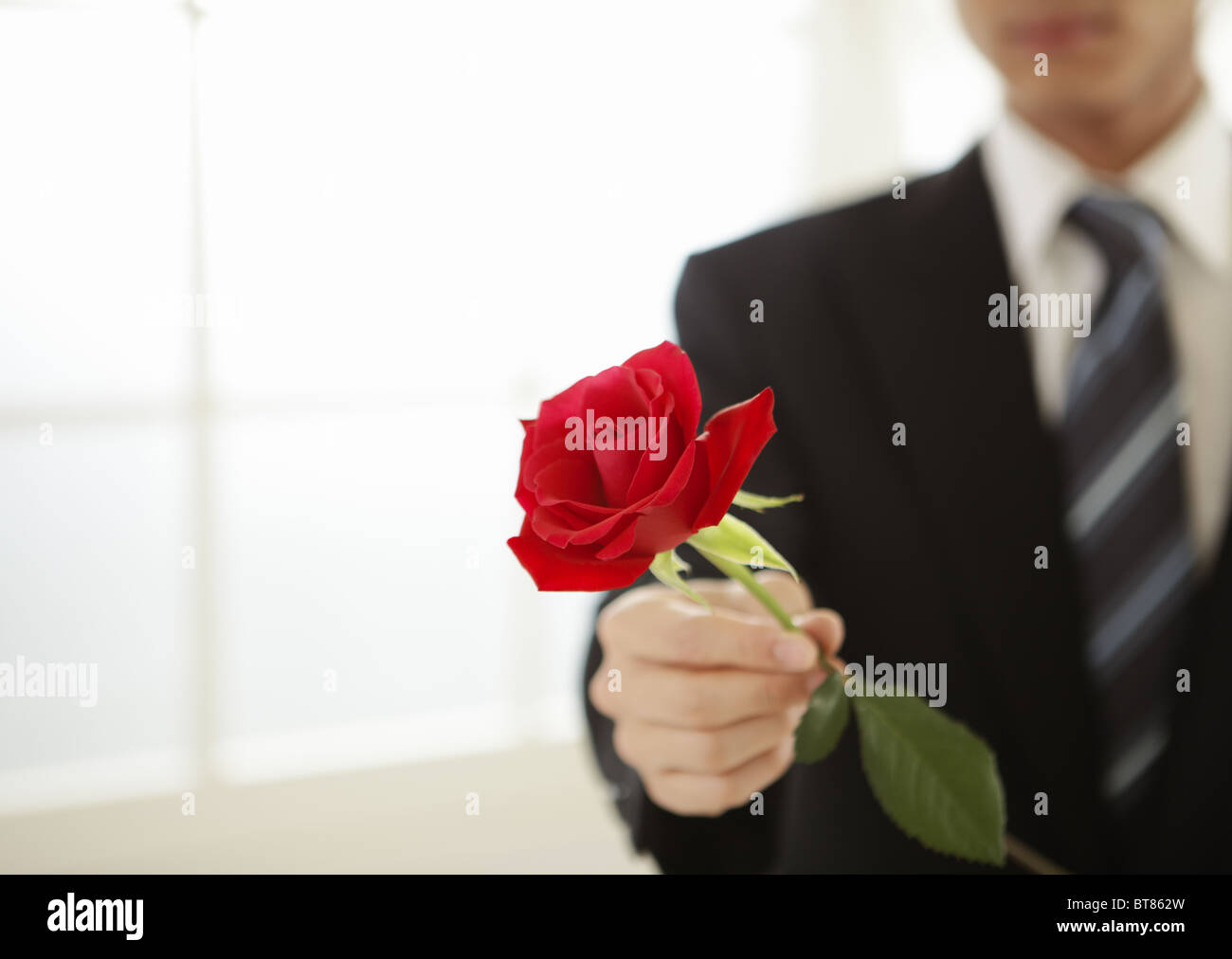 Close up of mans hand holding a rose Stock Photo - Alamy