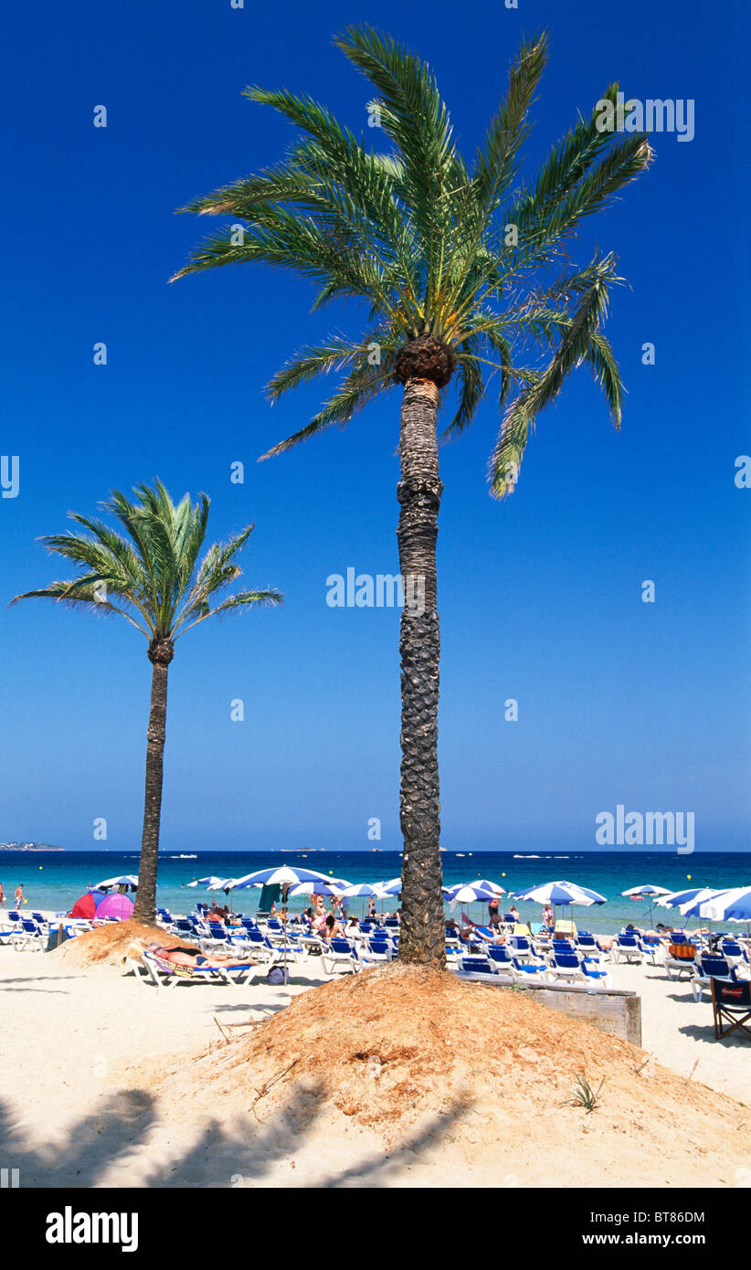 Playa d'en Bossa, Ibiza, Balearic Islands, Spain Stock Photo - Alamy