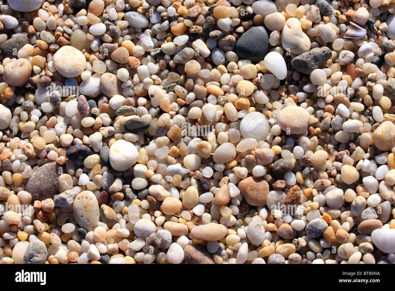Beach pebbles and stones Long Island NY Stock Photo - Alamy
