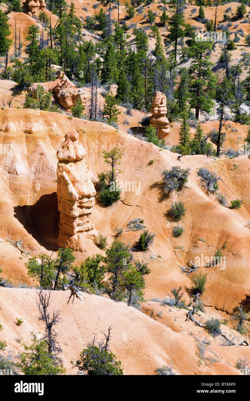 Bryce Canyon red desert rock formations Utah Stock Photo - Alamy