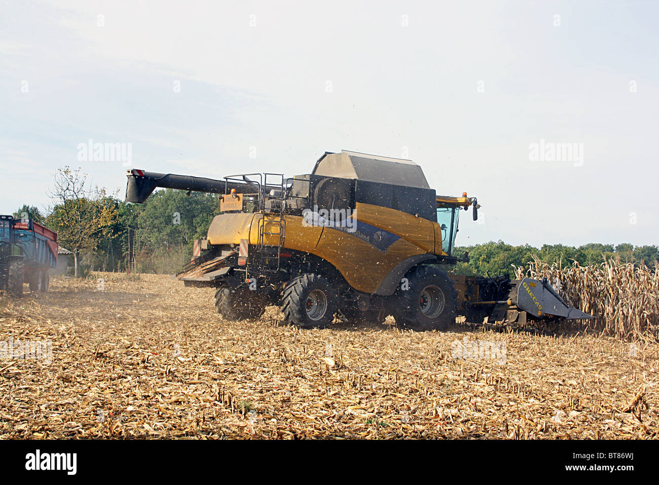New Holland CR9070 Combine harvester cutting maize Stock Photo - Alamy