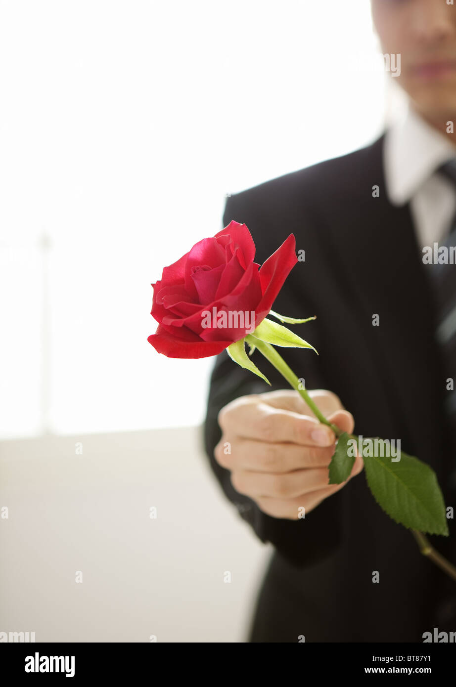 Hand with a rose hi-res stock photography and images - Alamy