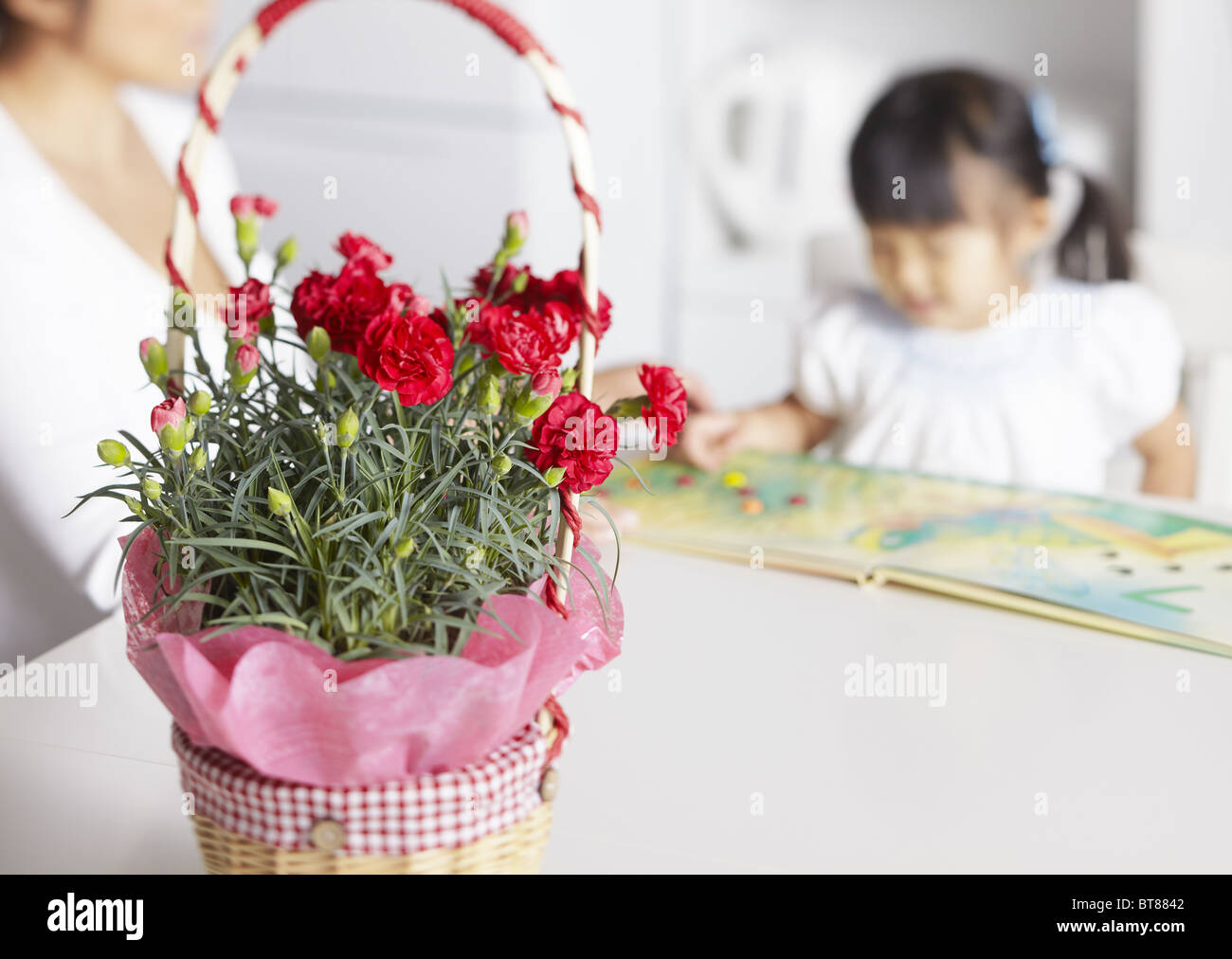 Carnation flowers, mother and her daughter Stock Photo - Alamy