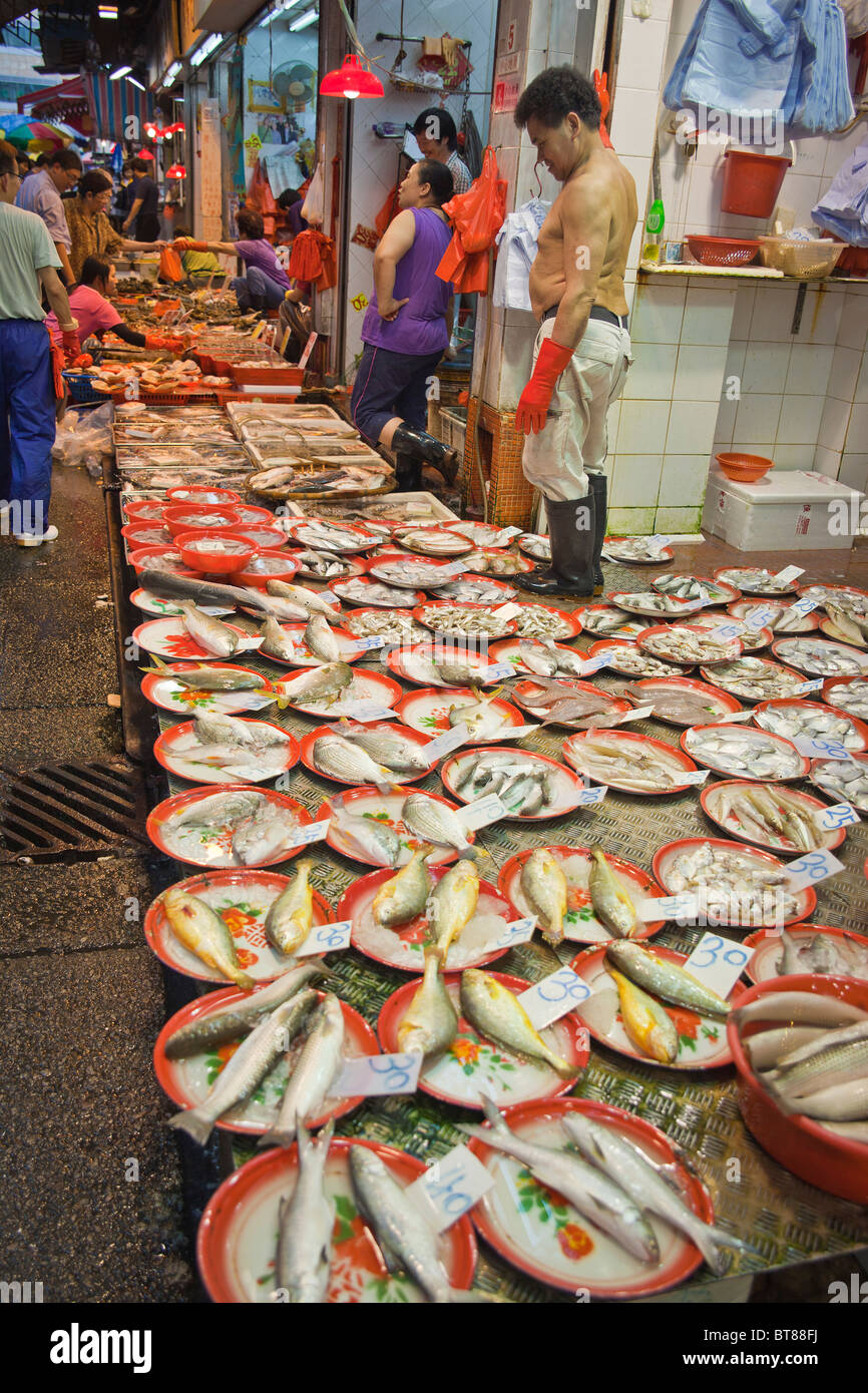 Kowloon Fish Market, Hong Kong China Stock Photo - Alamy