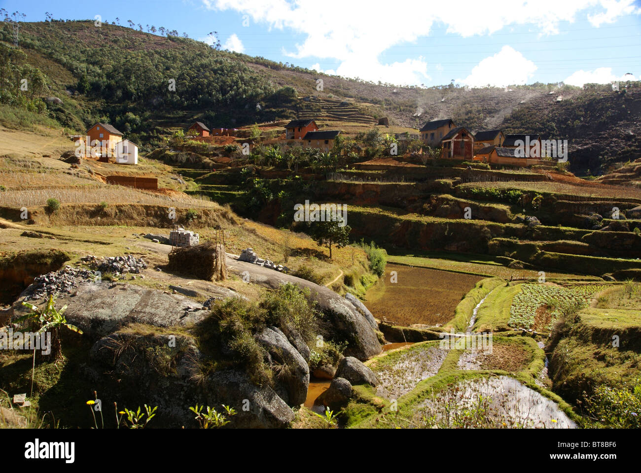 Madagascar, Rice fields Stock Photo - Alamy