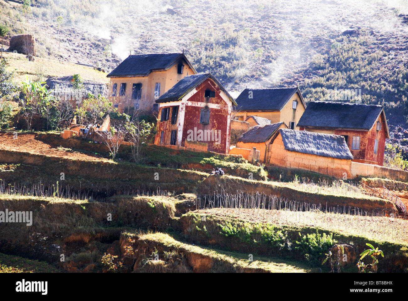 Madagascar, Rice fields Stock Photo - Alamy