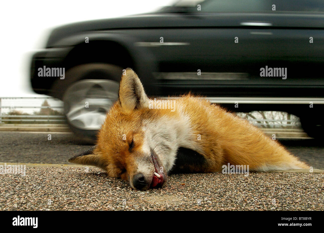 Plucks Gutter High Resolution Stock Photography and Images - Alamy