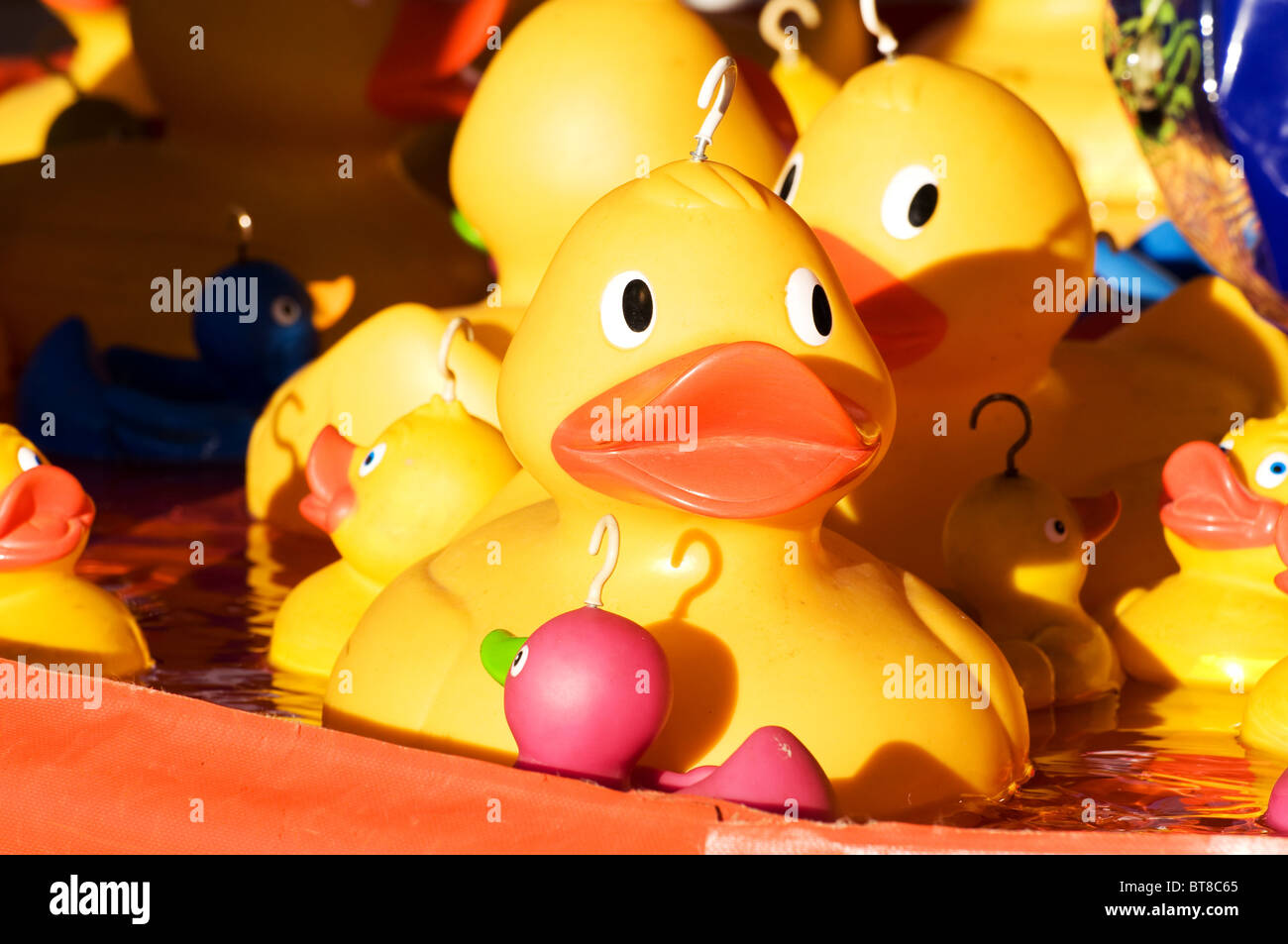 Rubber Duck Hook High Resolution Stock Photography and Images - Alamy
