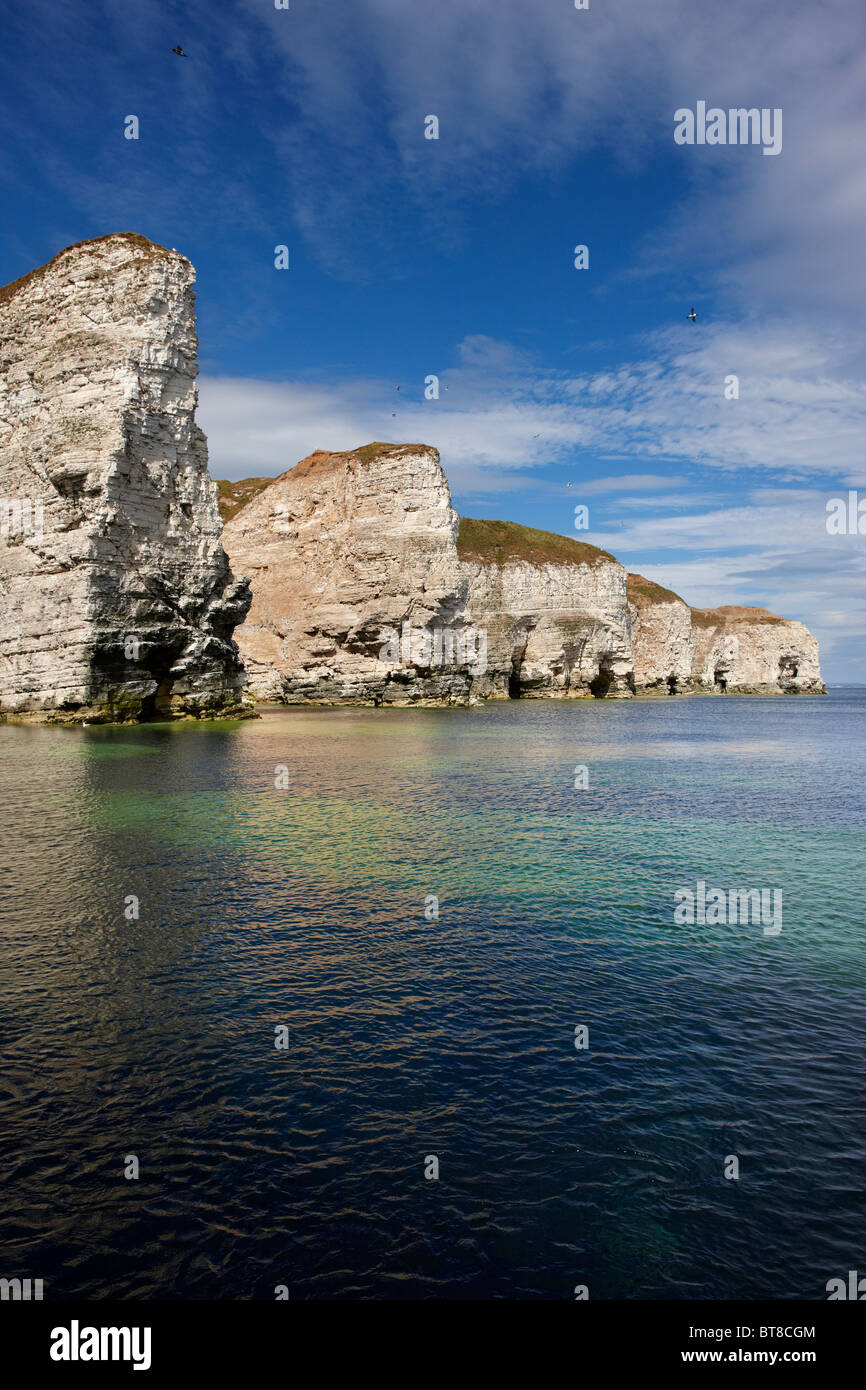 Cliffs at Bempton, North Yorkshire UK Stock Photo - Alamy