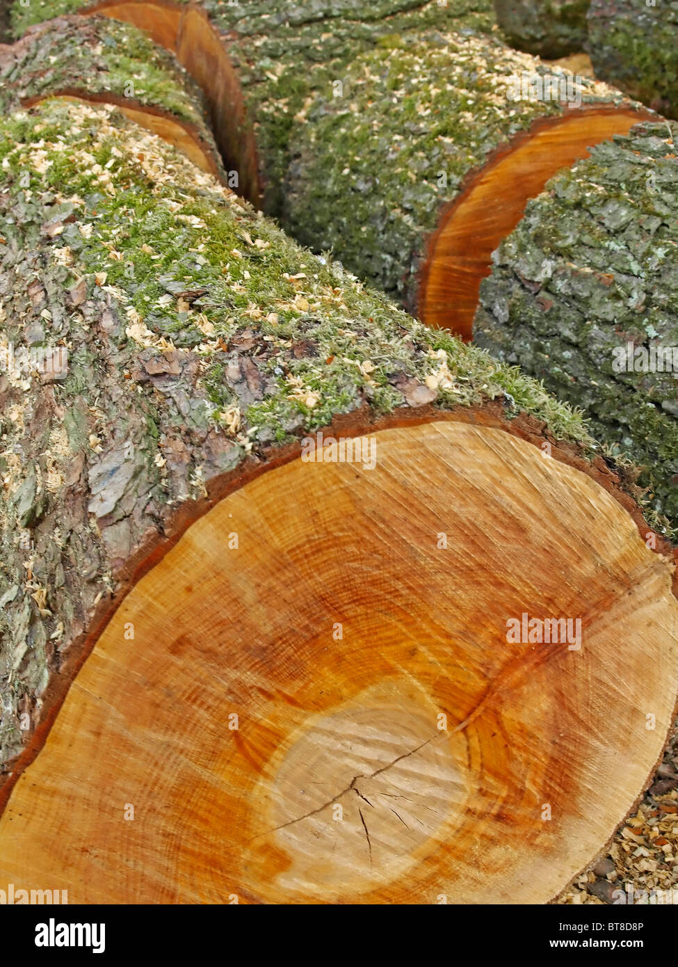 Even heating hi-res stock photography and images - Alamy