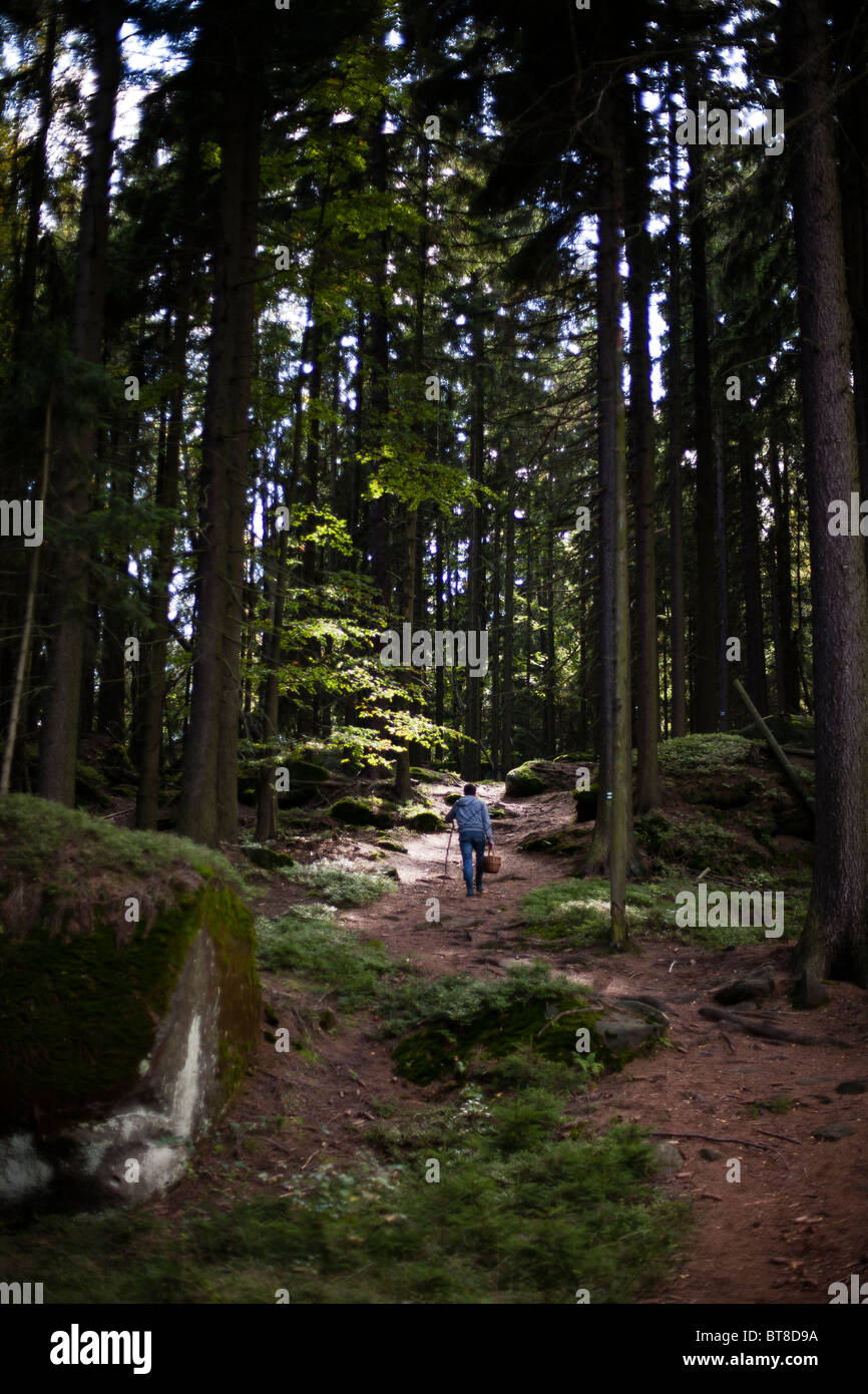 Man walking in the forest Stock Photo - Alamy