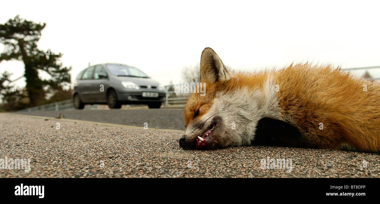 Plucks Gutter High Resolution Stock Photography and Images - Alamy