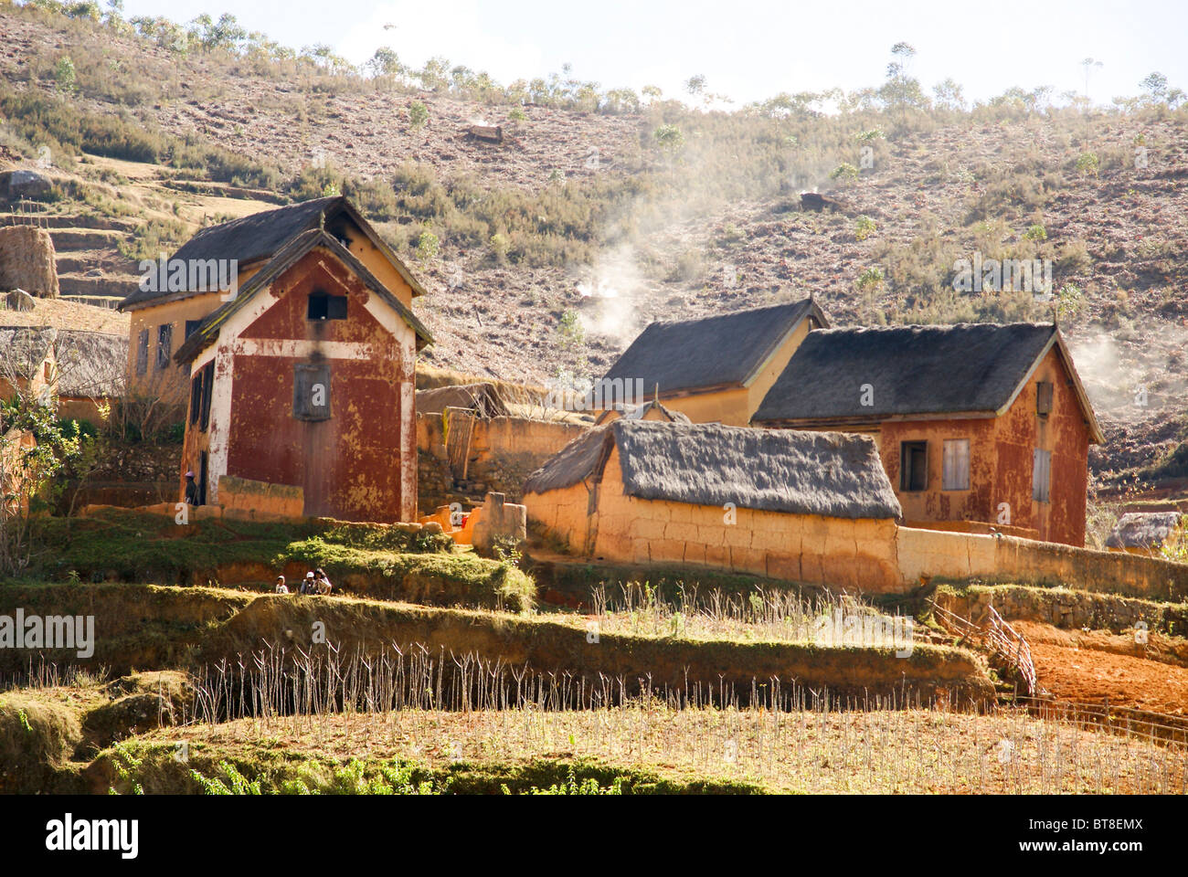 Madagascar, Rice fields Stock Photo - Alamy