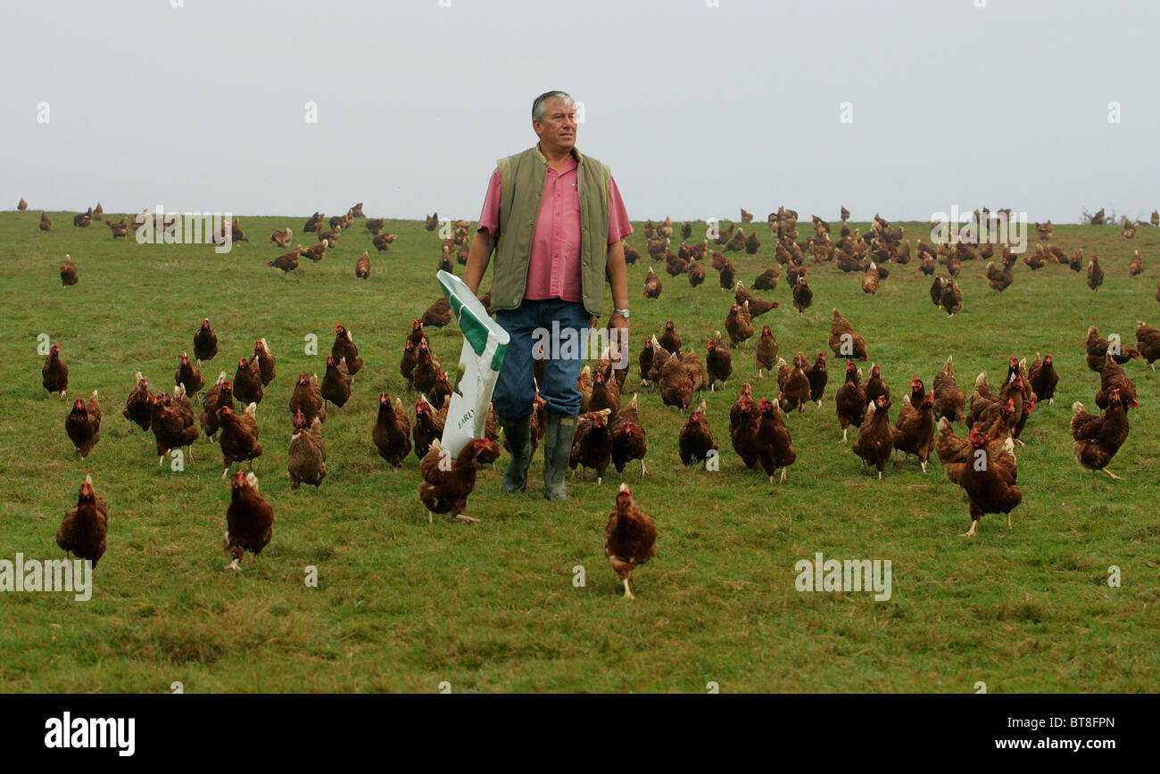 Free Range chickens at Grassington farm in North Chailey. Picture by ...