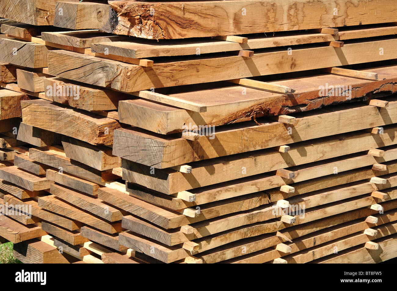 Drying oak boards hi-res stock photography and images - Alamy