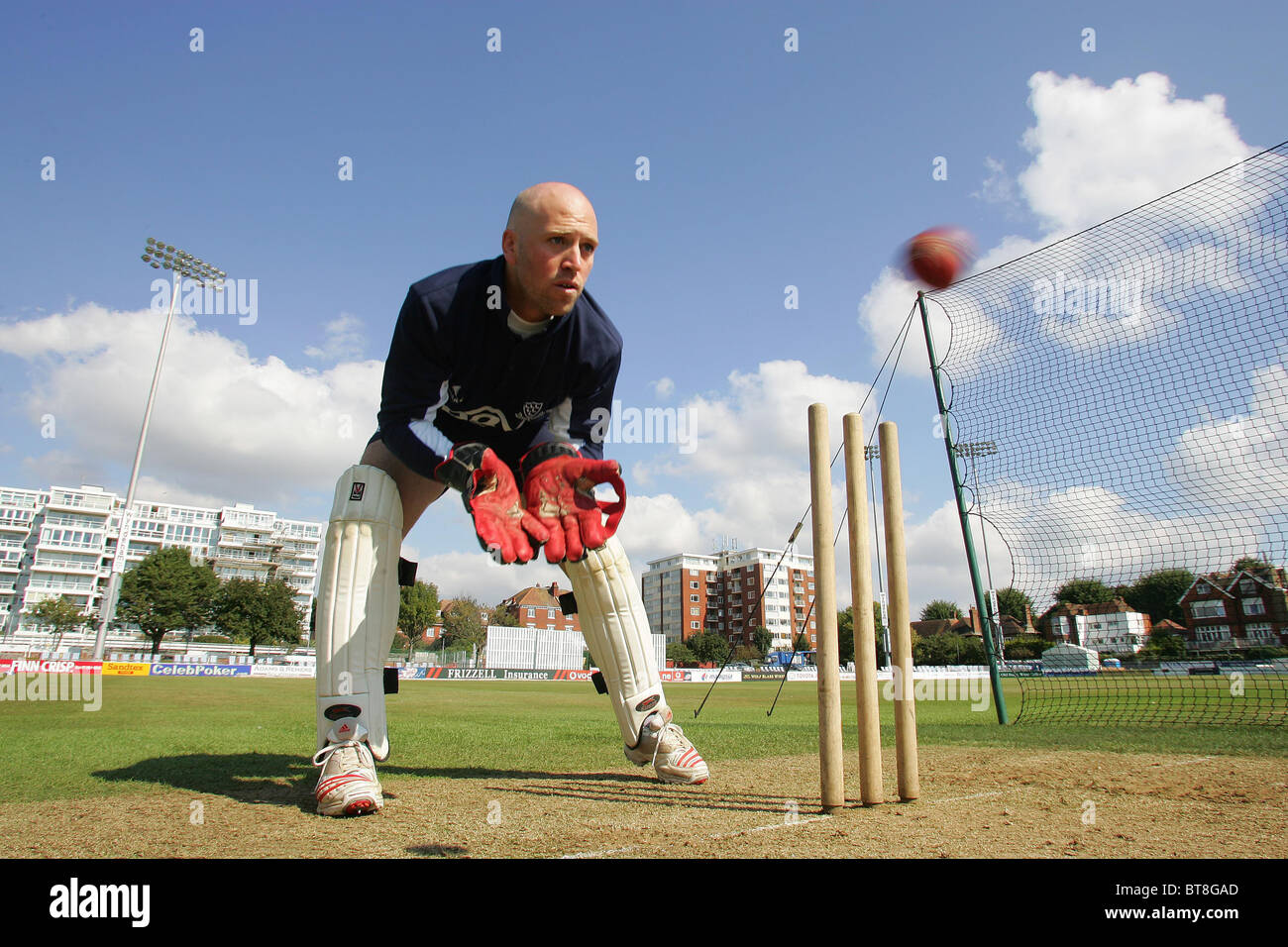 Matthew Prior English Cricketer. Picture by James Boardman Stock Photo ...