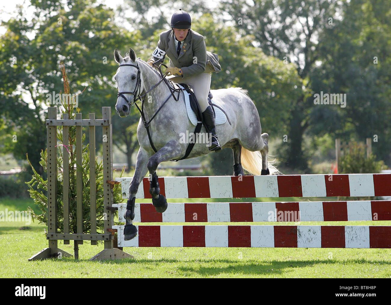 Boardman horse hi-res stock photography and images - Alamy