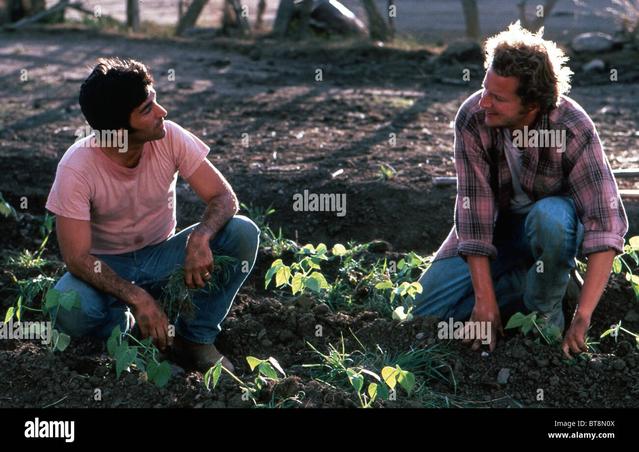 MILAGRO BEANFIELD WAR (1988) CHUCK VENNERA, DANIEL STERN ROBERT REDFORD ...