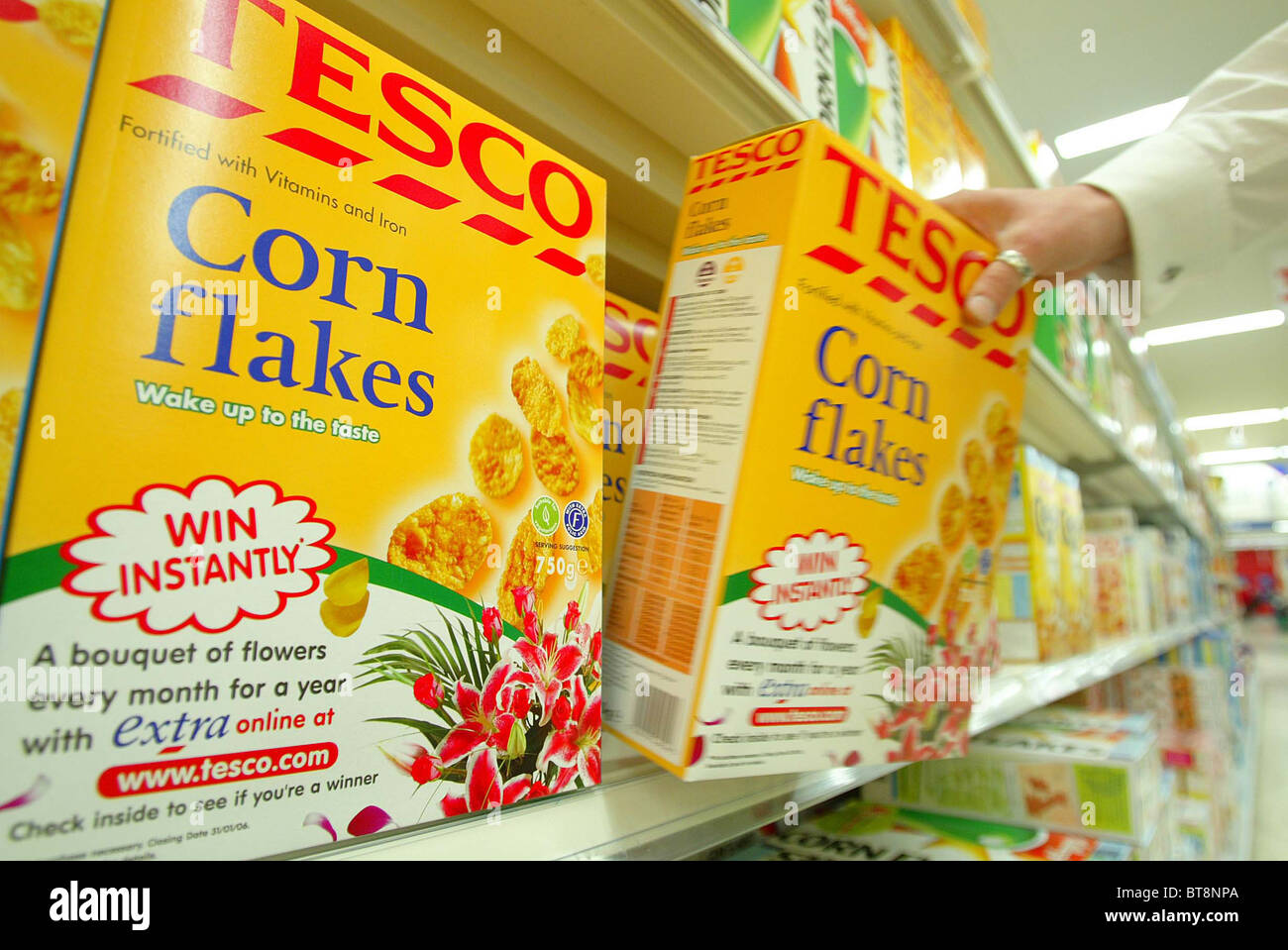Tesco own Corn Flakes. Picture by James Boardman Stock Photo - Alamy