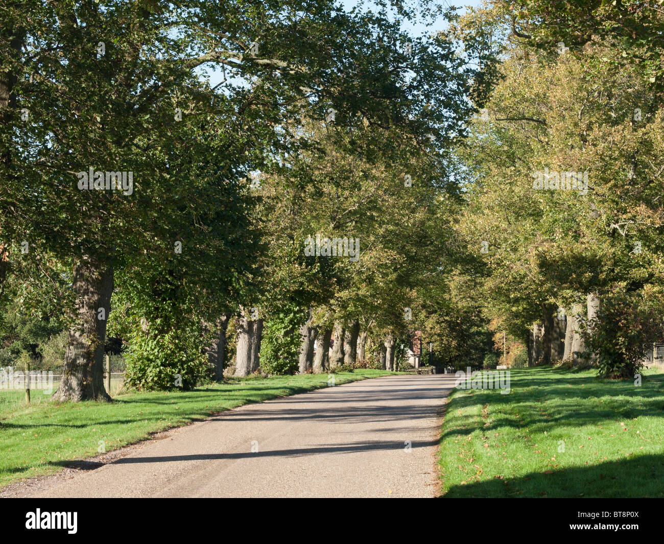 country lane estate warwickshire midlands england uk road empty ...