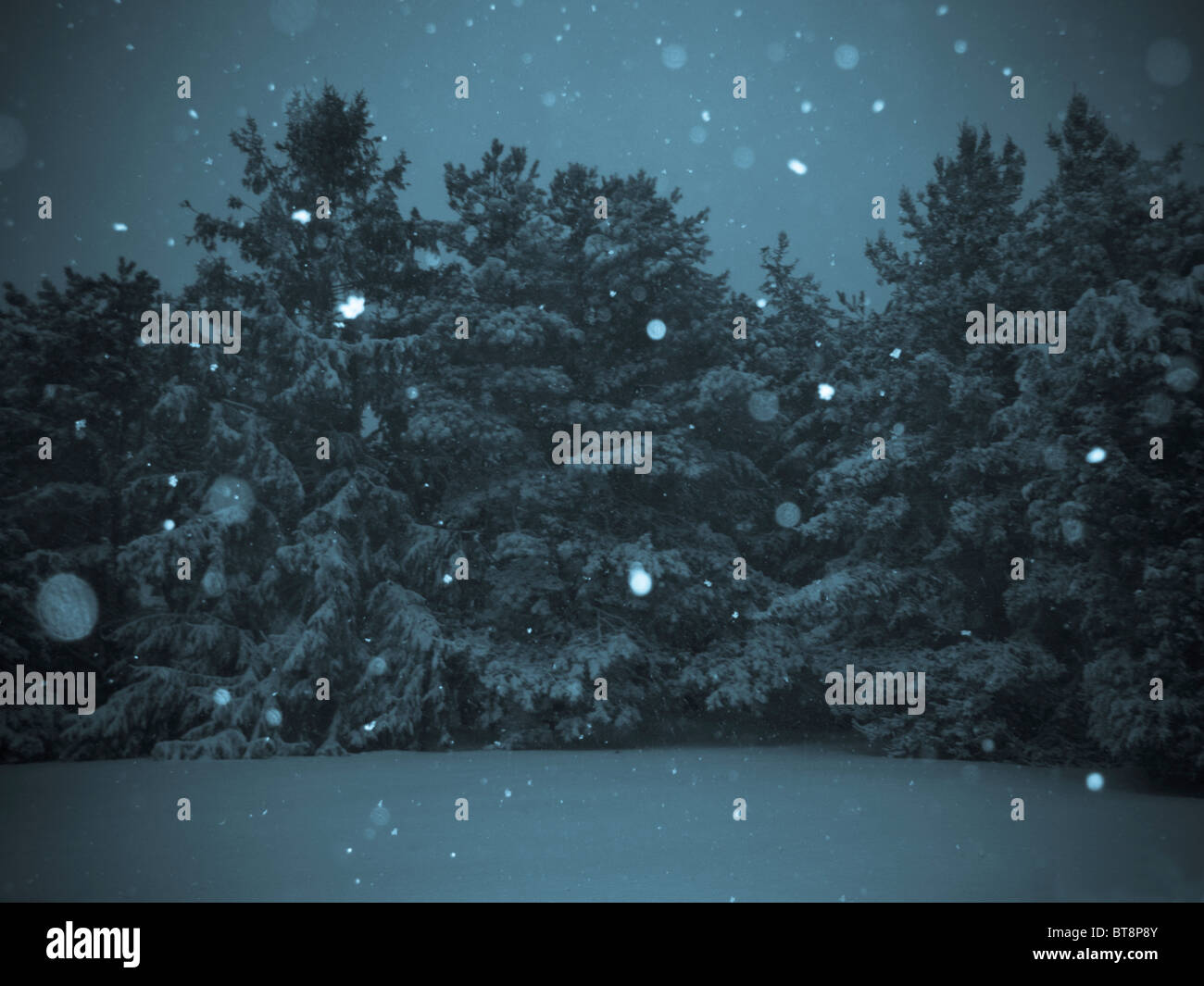 Snow falling night hi-res stock photography and images - Alamy