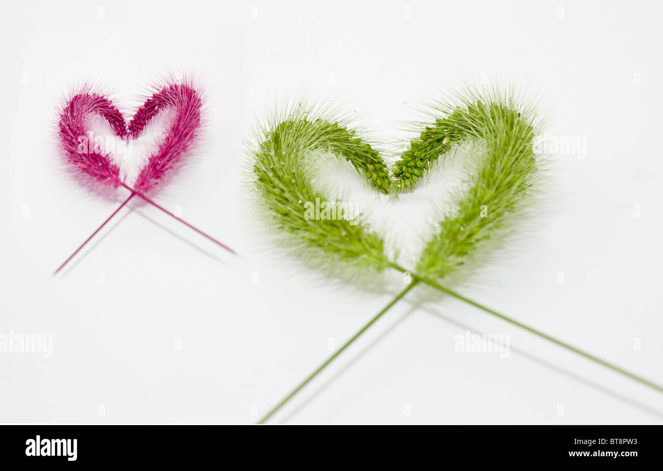 love symbol made by grass Stock Photo - Alamy