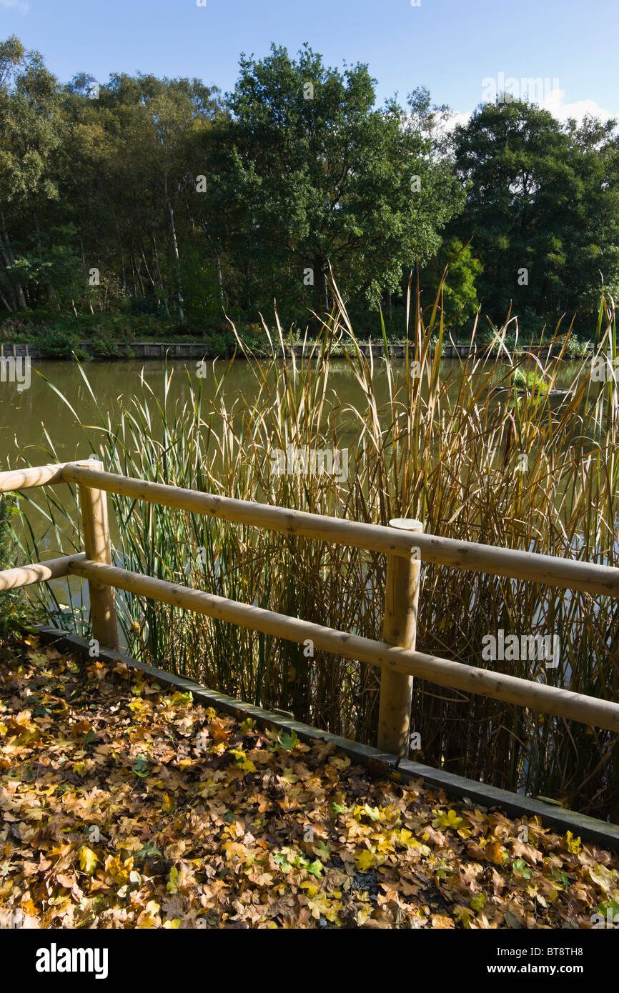 Wildlife viewing platform hi-res stock photography and images - Alamy