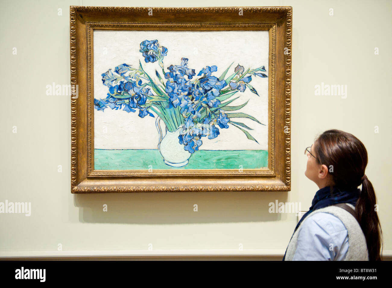 Irises by Vincent van Gogh at Metropolitan Museum of Art in Manhattan ...