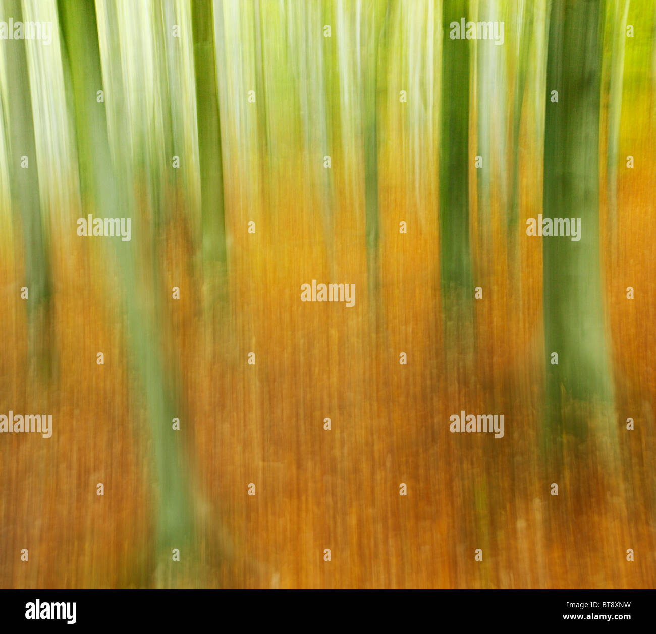 Abstract golden blur hi-res stock photography and images - Alamy