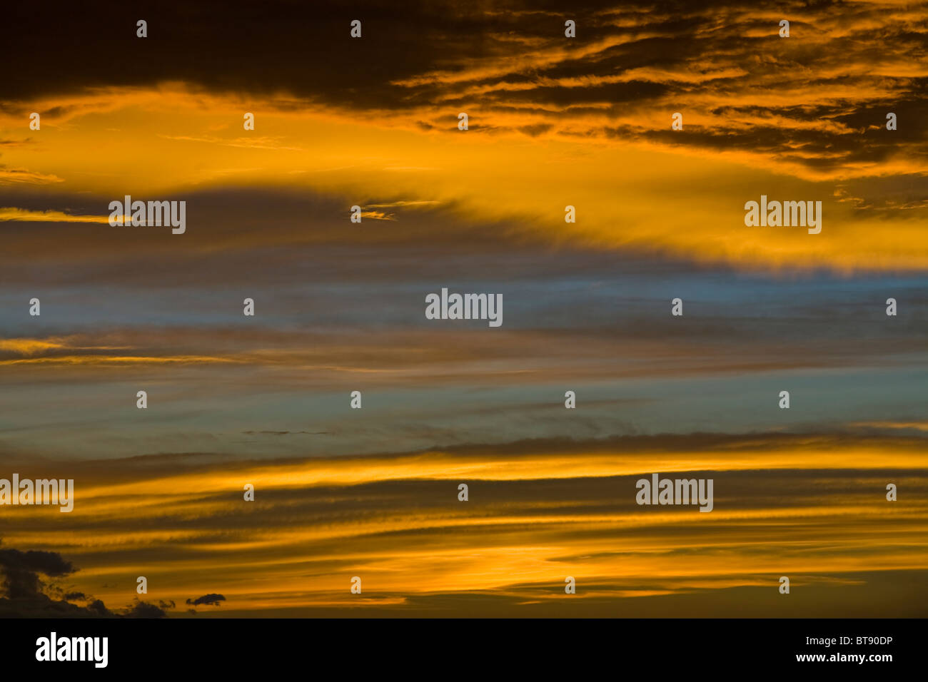 Golden sunset clouds background Stock Photo - Alamy