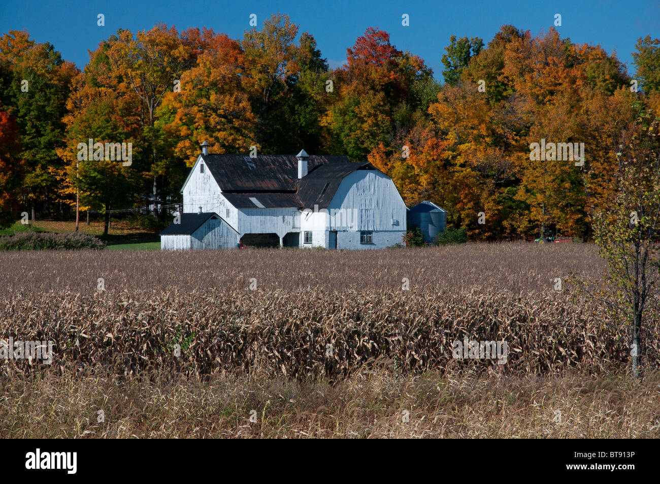 A barn in southern Quebec surrounded by the colours of Fall Stock Photo ...