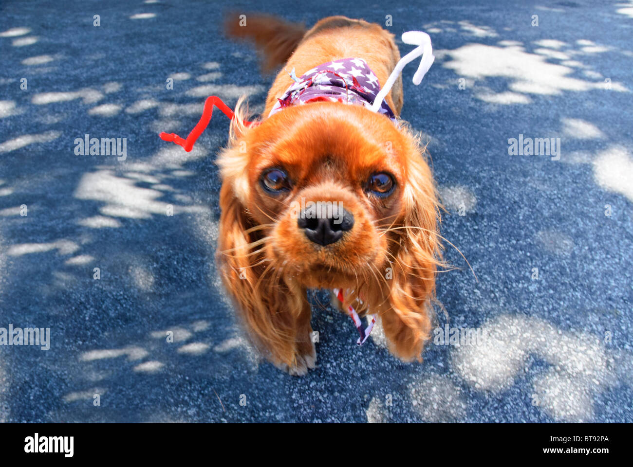 Flag scarf hi-res stock photography and images - Alamy