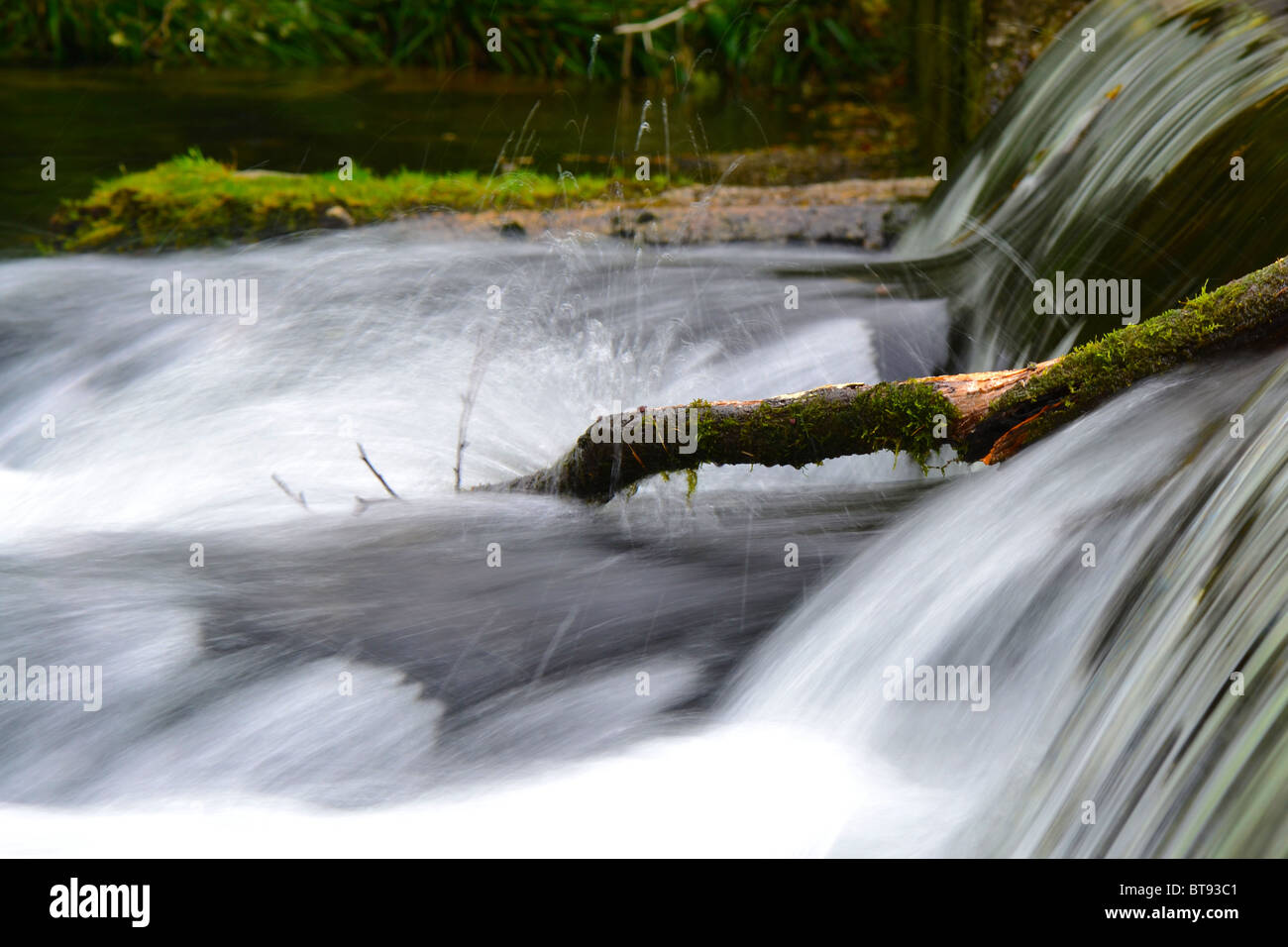 Water soaked log hi-res stock photography and images - Alamy