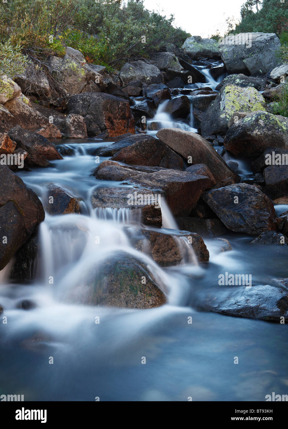 Cascading stream in a mountain forest of California Stock Photo - Alamy