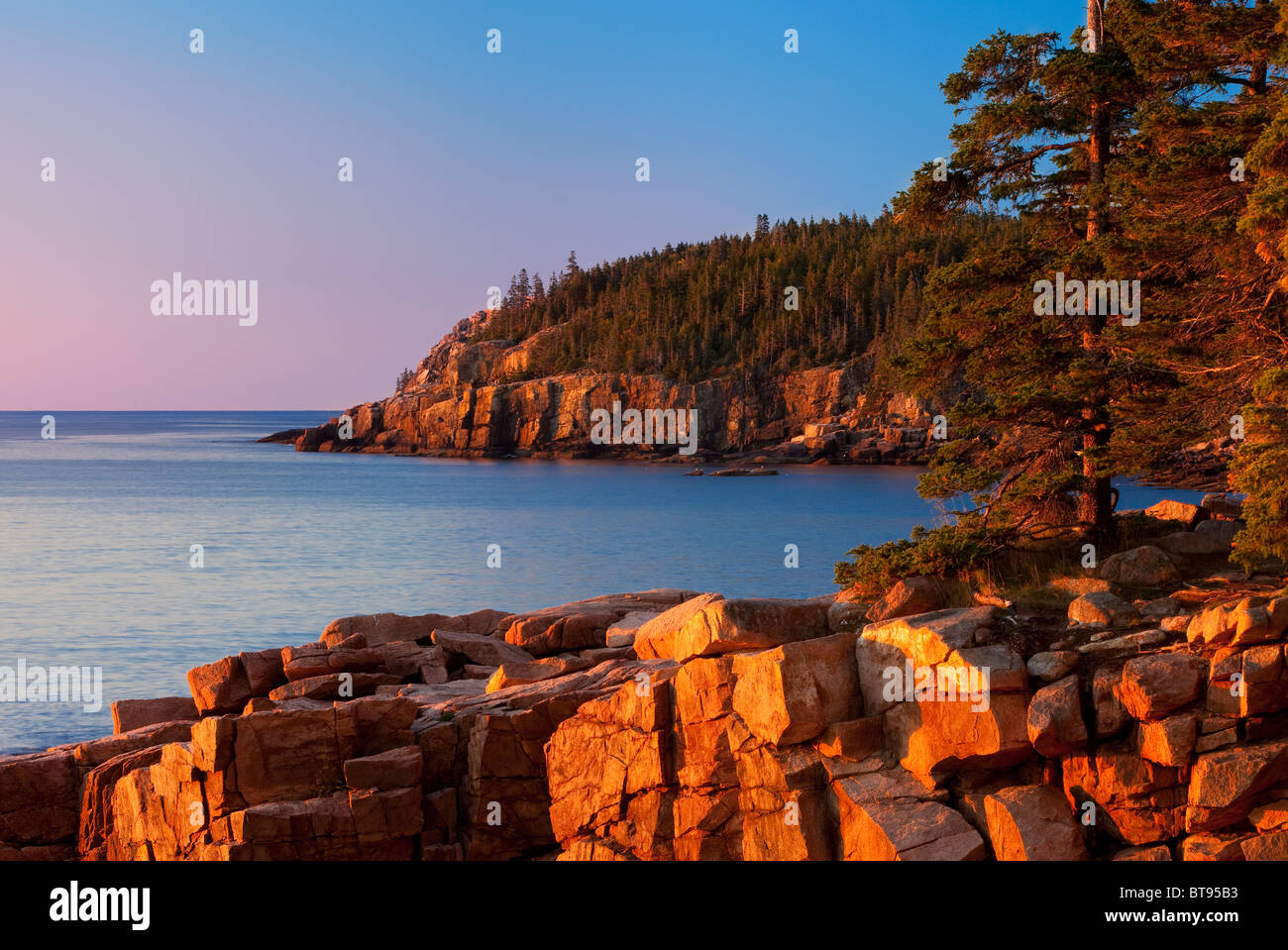 First rays of dawn along the Otter Cliffs in Acadia National Park ...
